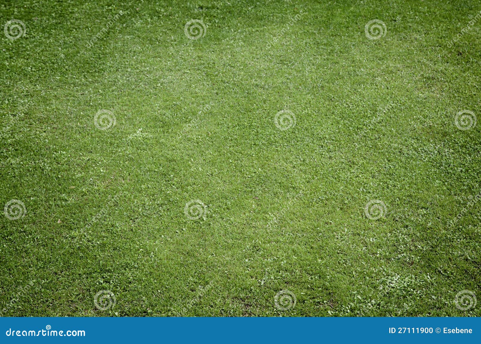 1,402 Cricket Texture Background Stock Photos - Free & Royalty-Free ...