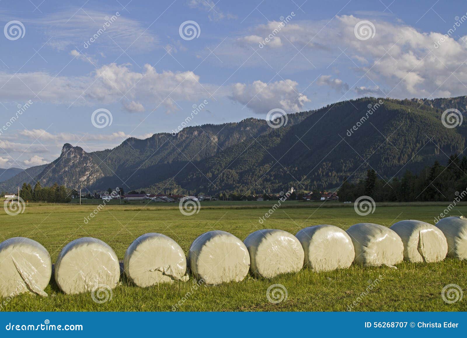 Grass baled silage stock image. Image of oberammergau - 56268707