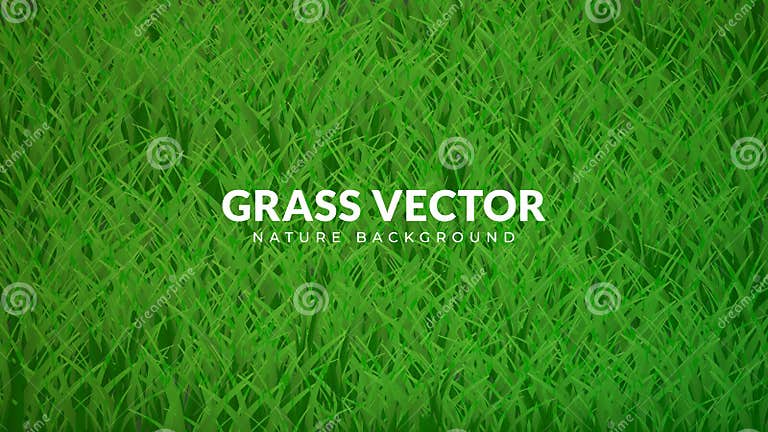 Green Grass Background Texture. Eps File Vector Design. Stock Vector ...
