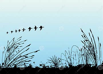 Grass and birds vector stock vector. Illustration of design - 3600364