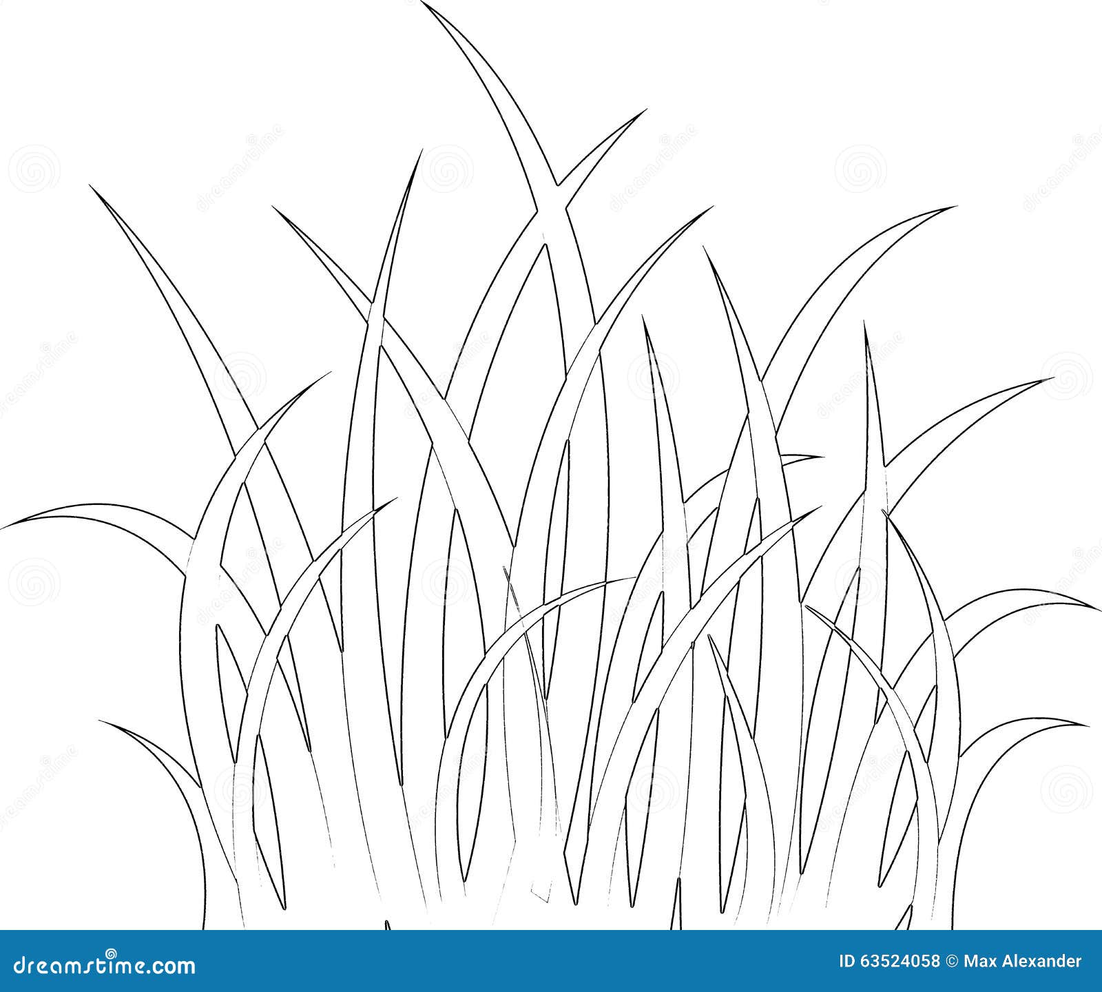 Grass stock photo. Image of acorn, raster, maple, texture - 63524058