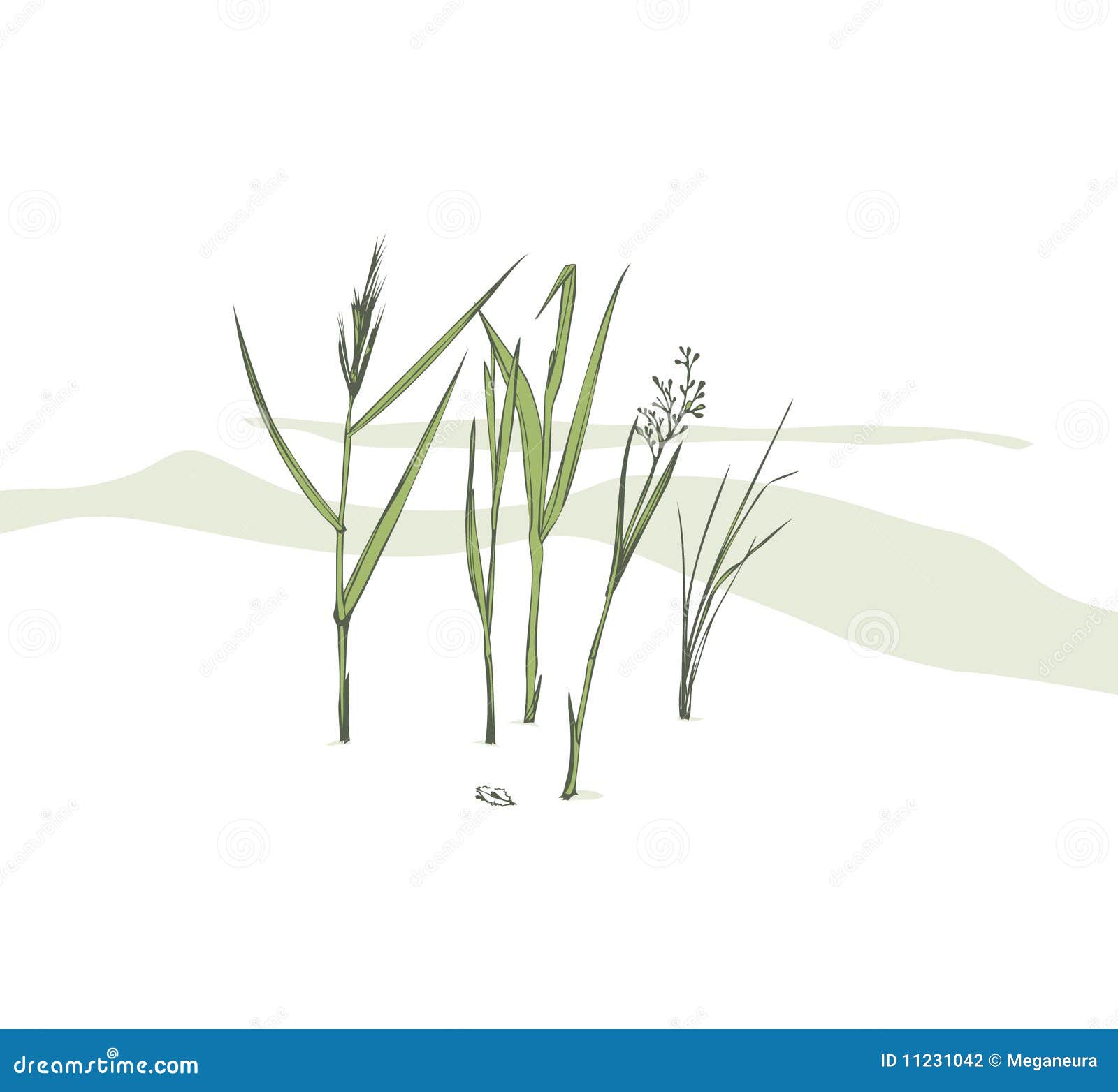 Grass blades stock vector. Illustration of grass, abstract - 11231042 Grass blades stock vector. Illustration of grass, abstract - 11231042
