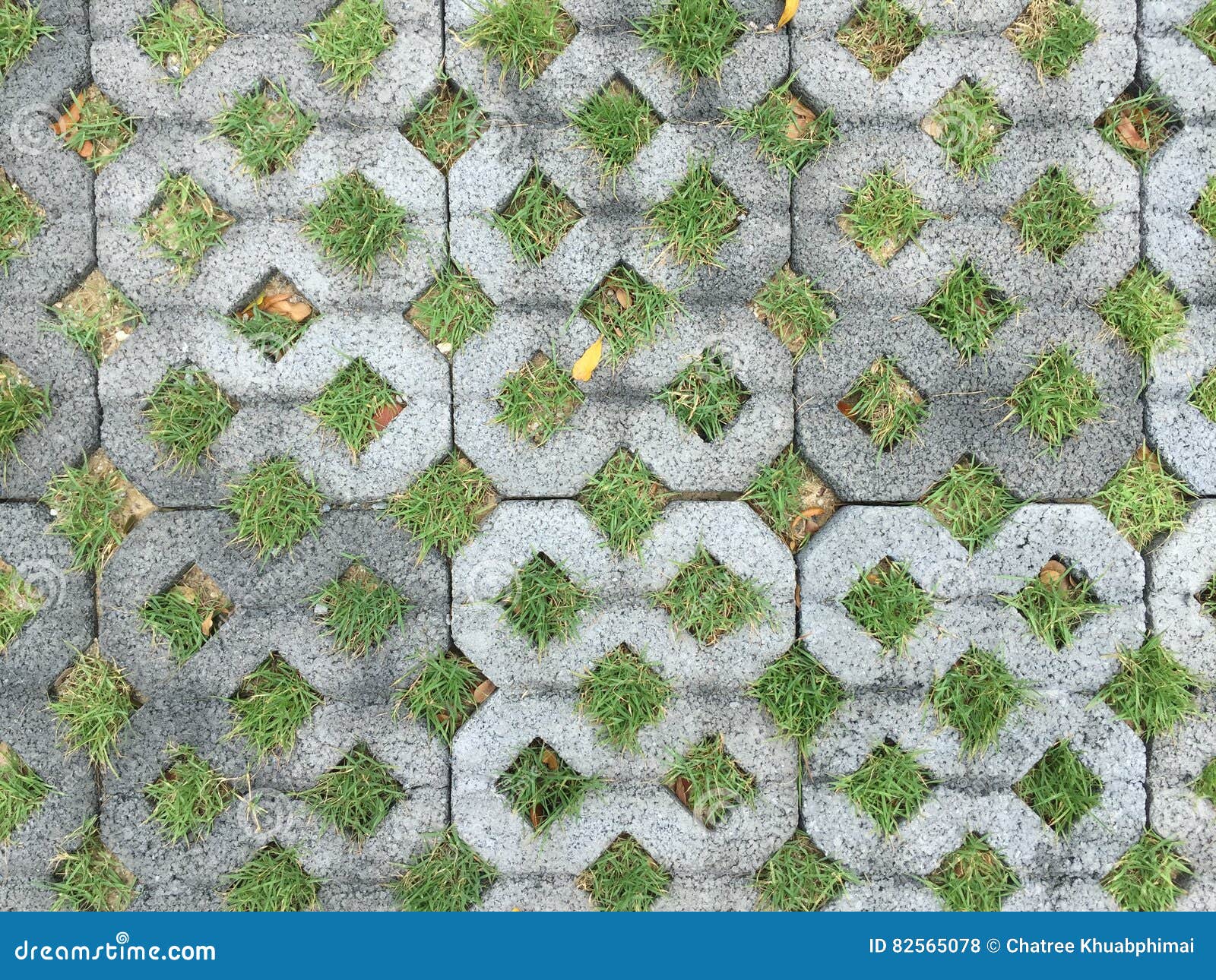 Grass Block Paving Royalty-Free Stock Photography | CartoonDealer.com ...