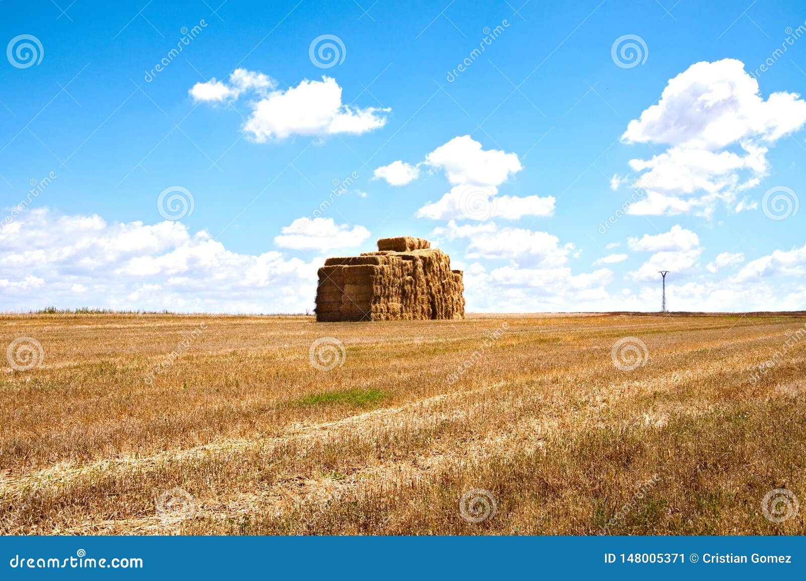 Grass Block Over a Summer Wheat Field Stock Image - Image of pasture ...