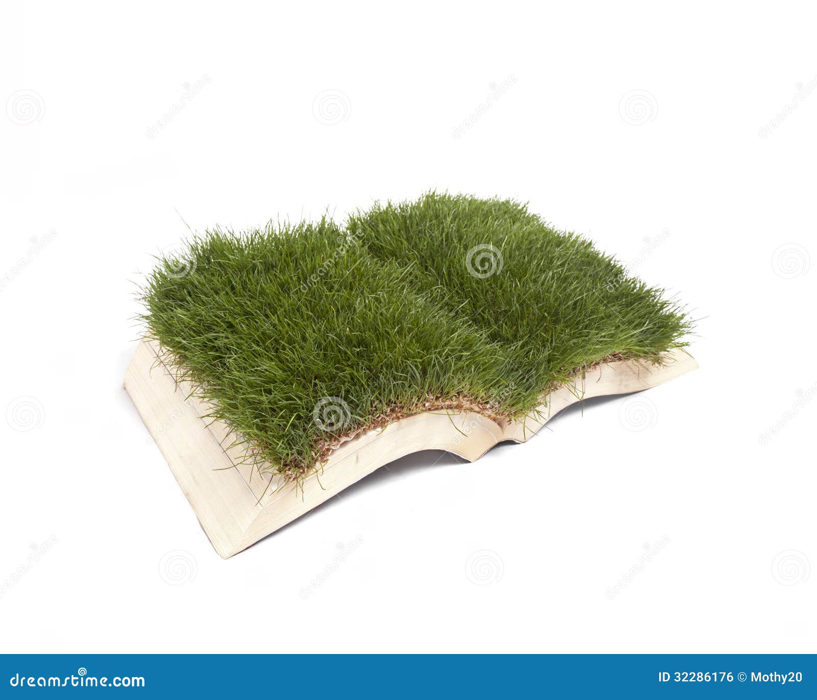 Grass Book stock photo. Image of lawn, novelist, green - 32286176