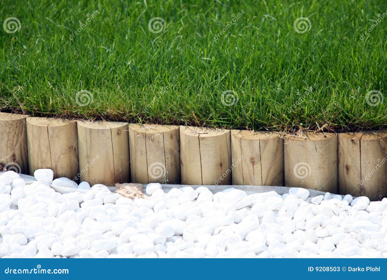 Grass with border stock image. Image of dark, border, soft - 9208503