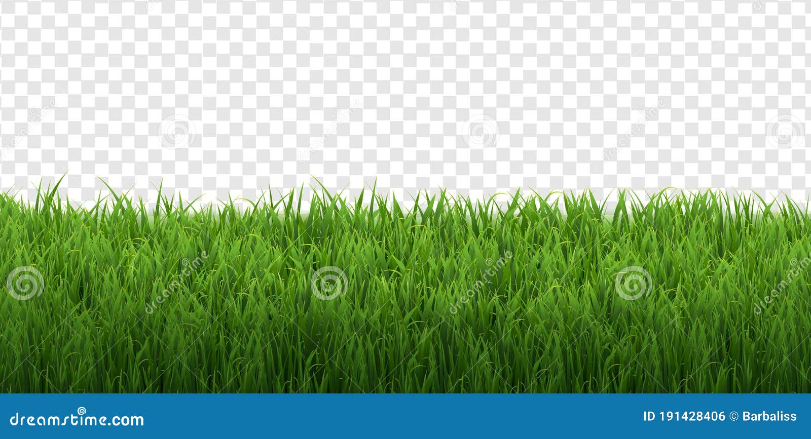 Grass Border Isolated Transparent Background Stock Vector ...
