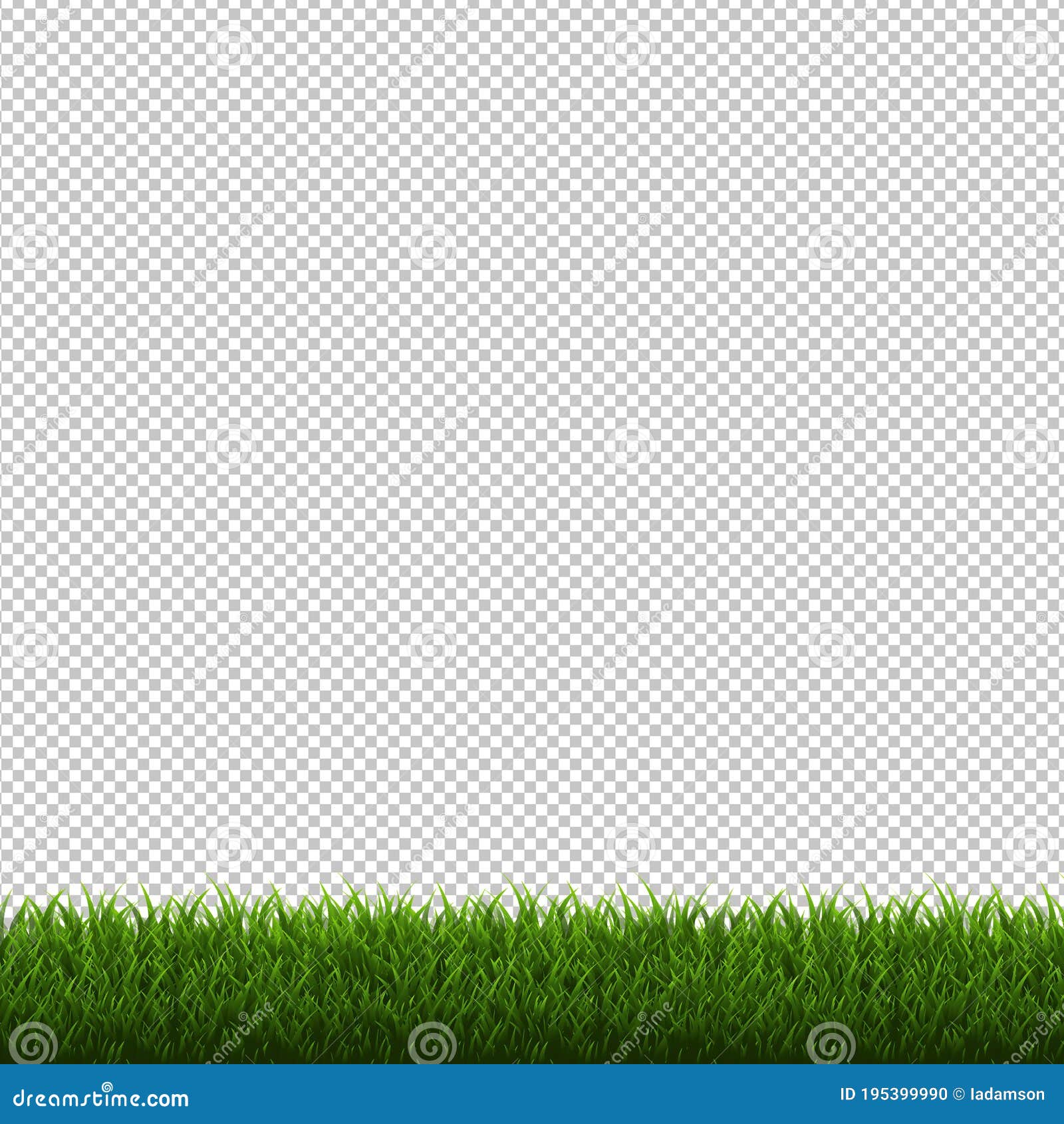 Grass Border Isolated Transparent Background Stock Vector ...