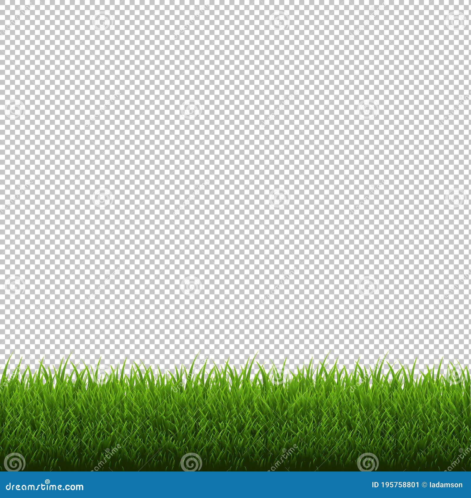 Grass Border Isolated Transparent Background Stock Vector ...