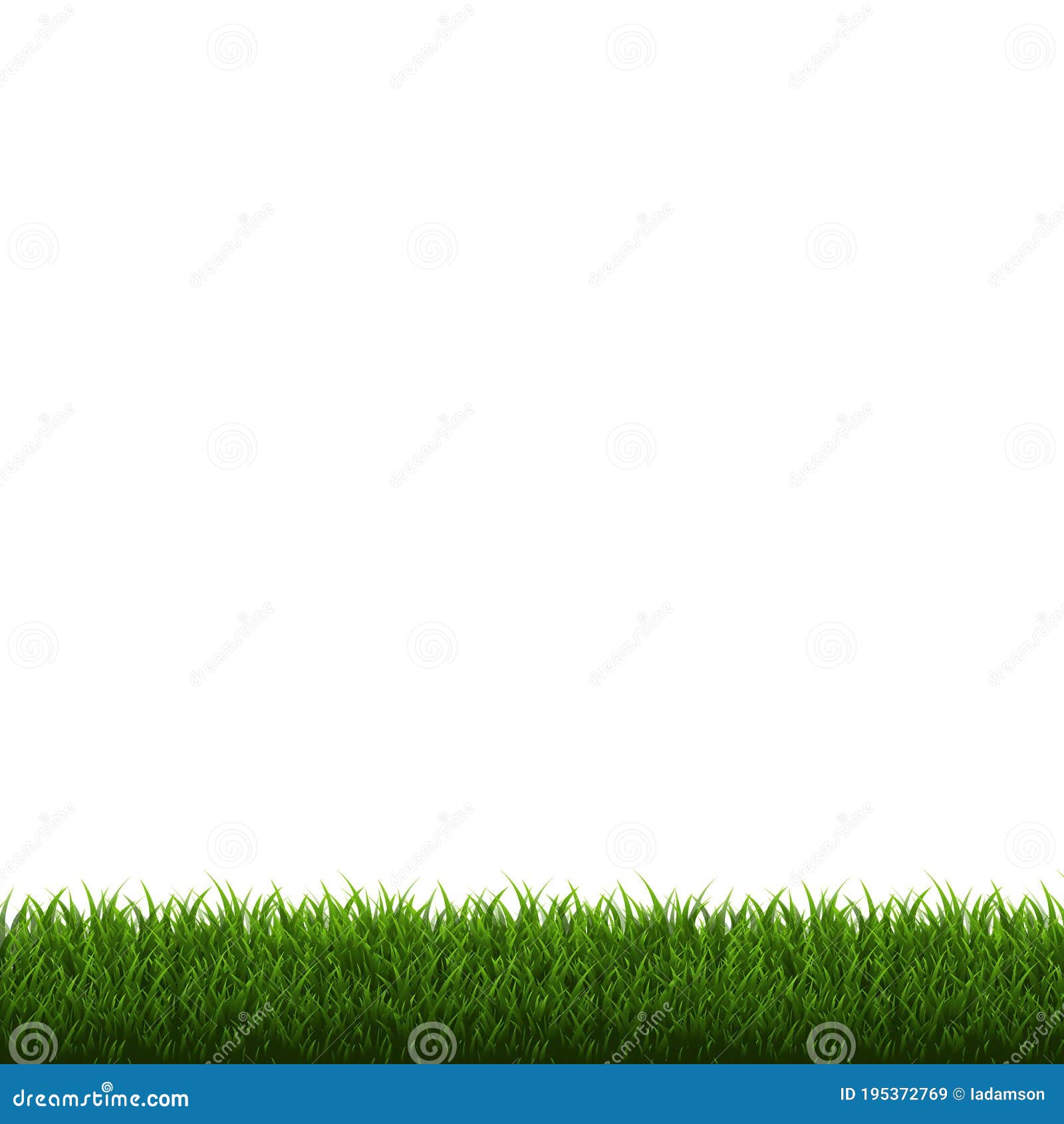 Grass Border Isolated stock vector. Illustration of natural - 195372769