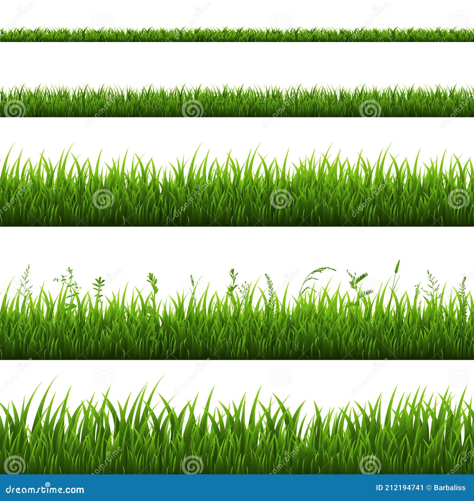 Grass Border Isolated stock vector. Illustration of grass - 212194741