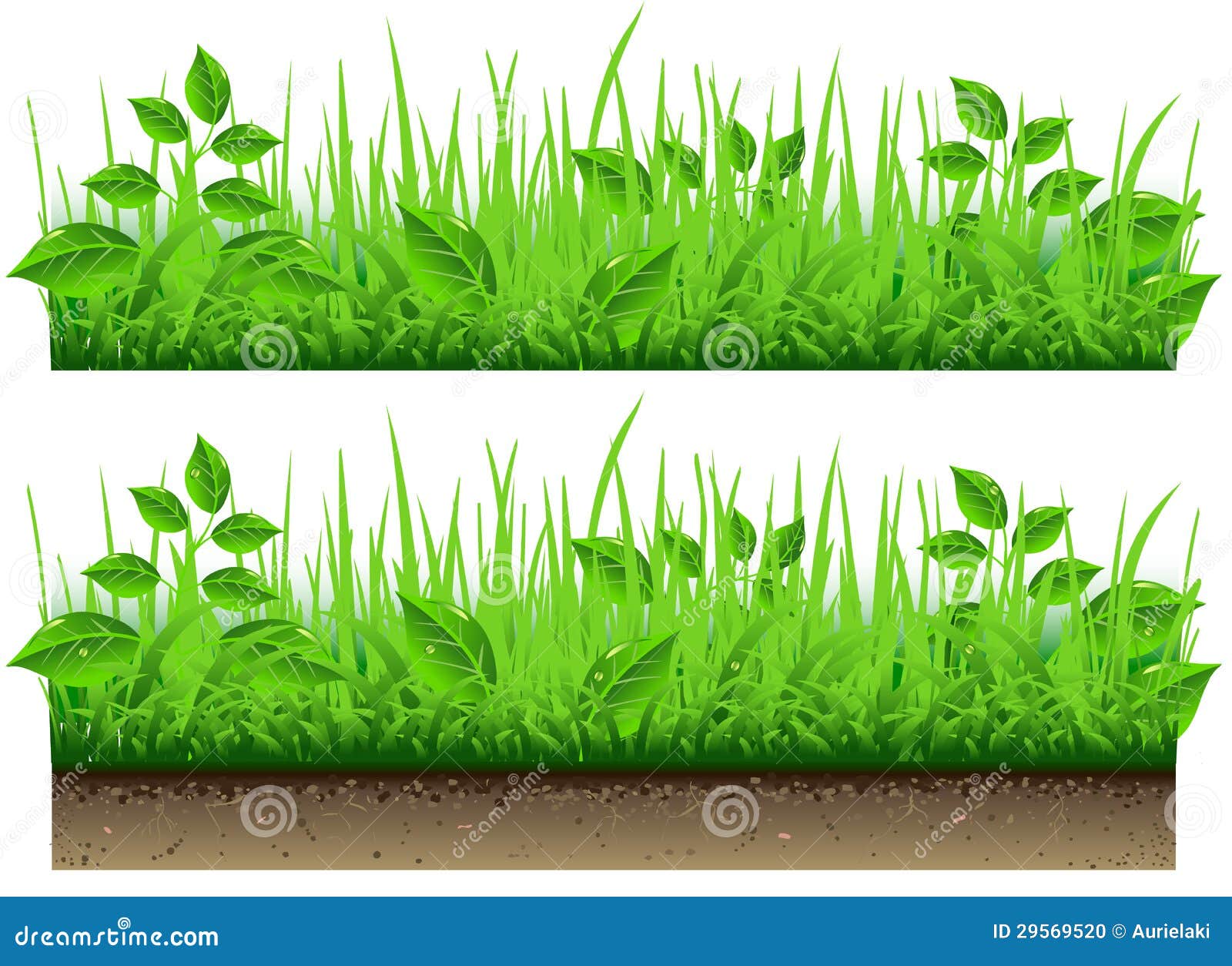 Grass Border Isolated On White Background Stock Photo - Image: 29569520