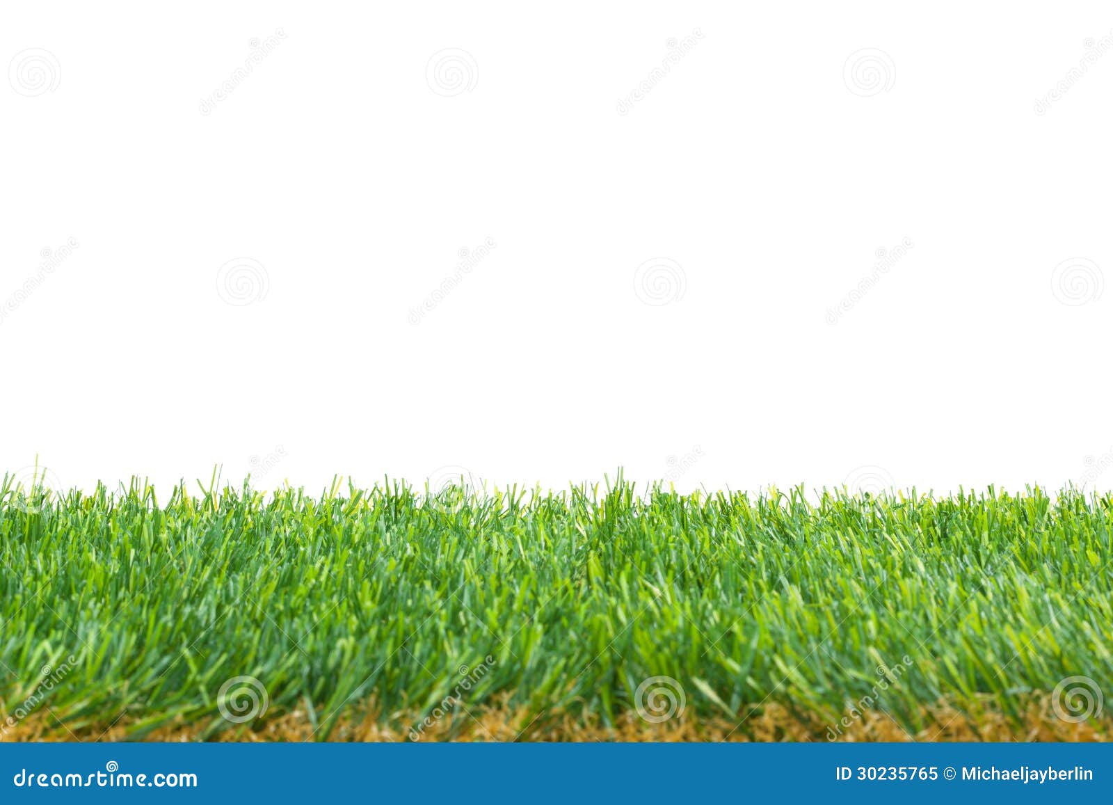 Small Border Grass Year Round