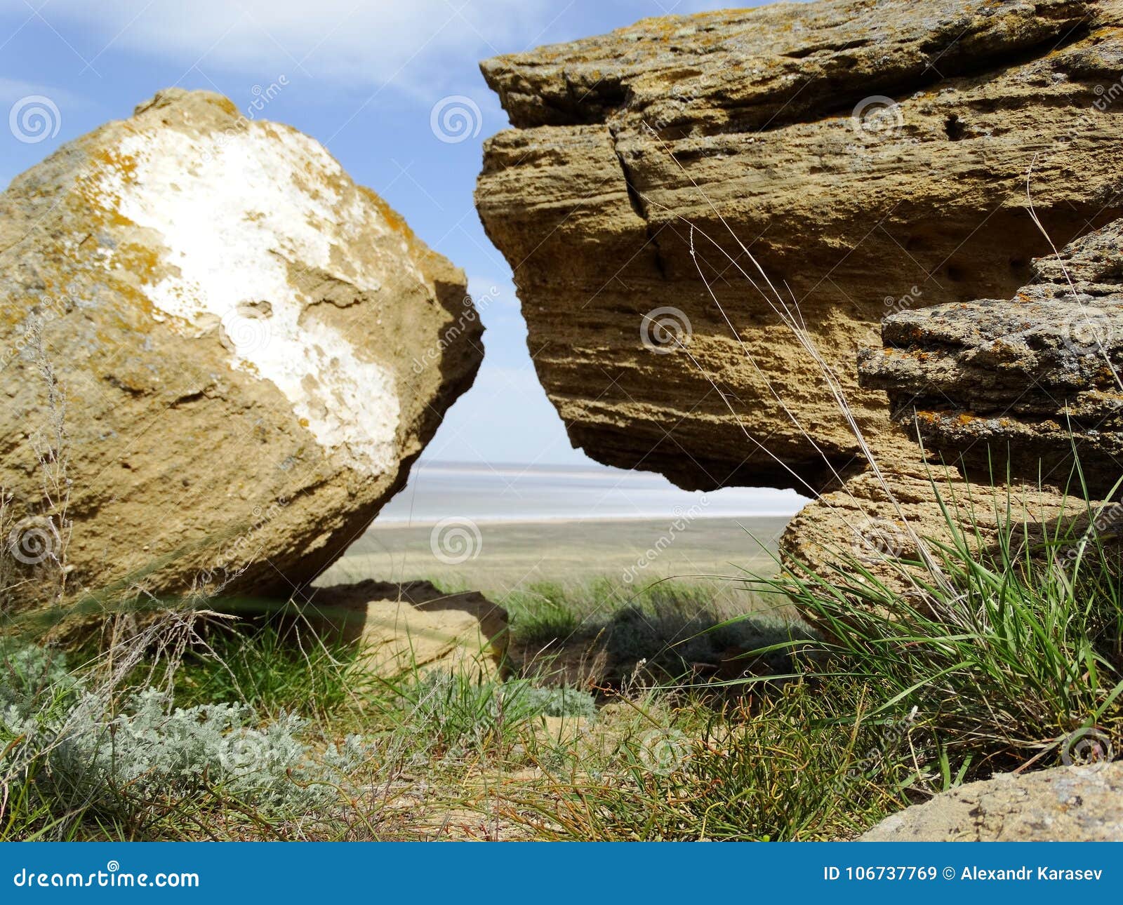 Life Breaks Even on the Rocks Stock Image - Image of brown, moss: 106737769