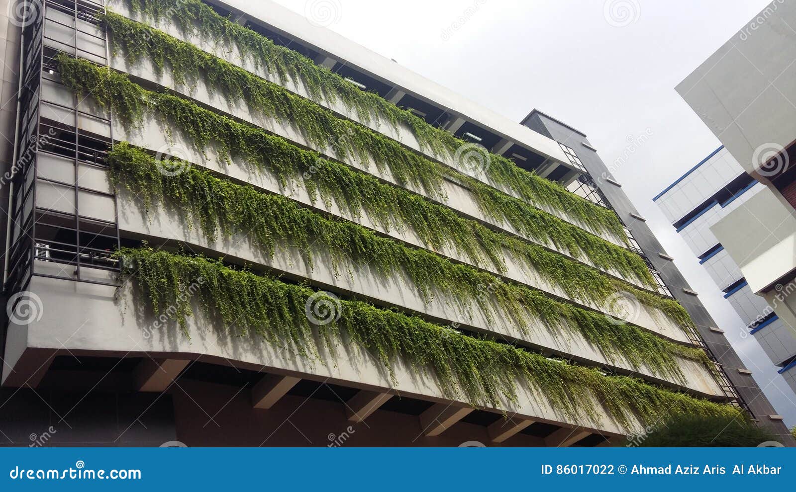 Grass at building stock photo. Image of repeat, shape - 86017022