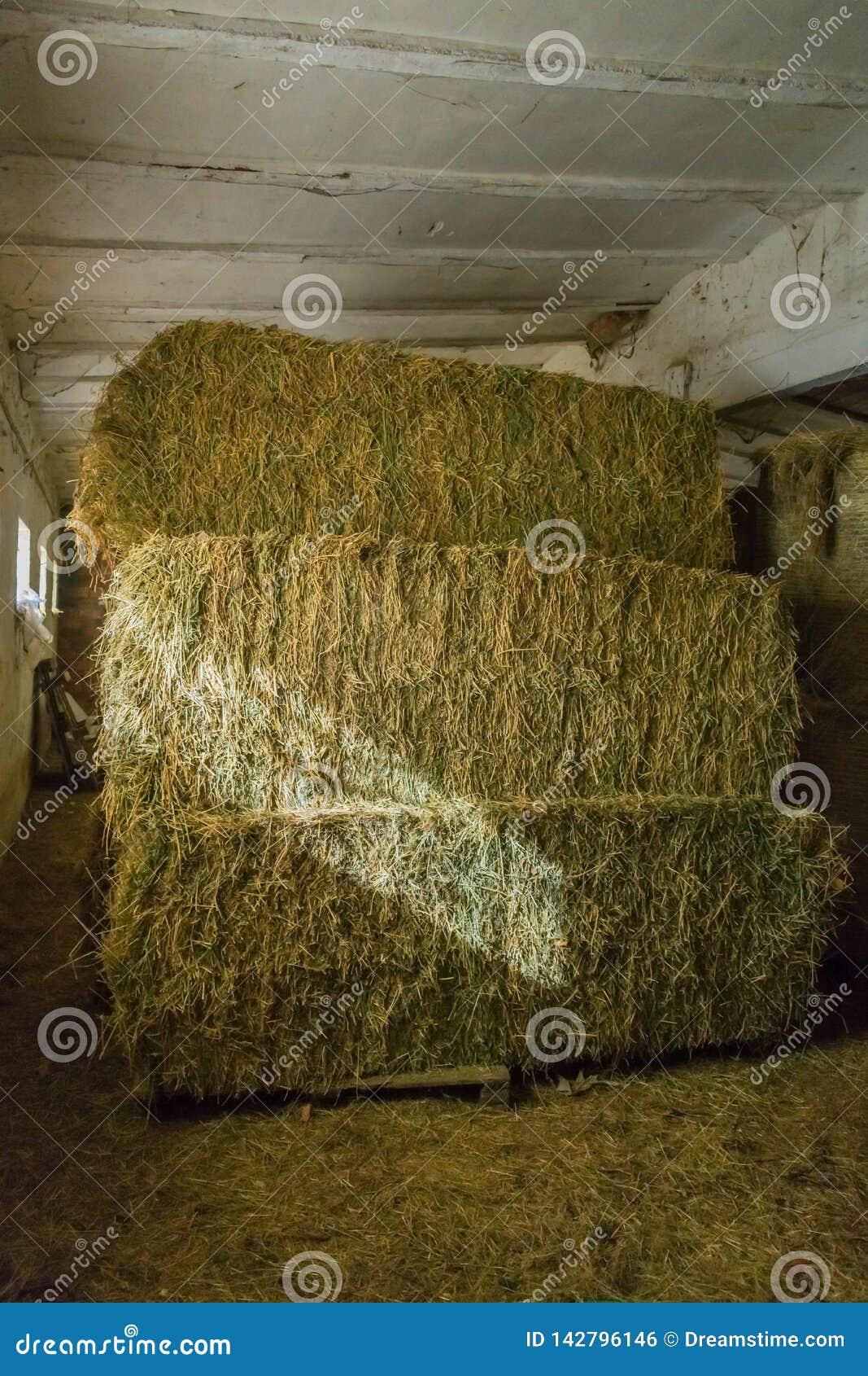 Grass Bundles Stacked in Interior with Light Rays Stock Photo - Image ...