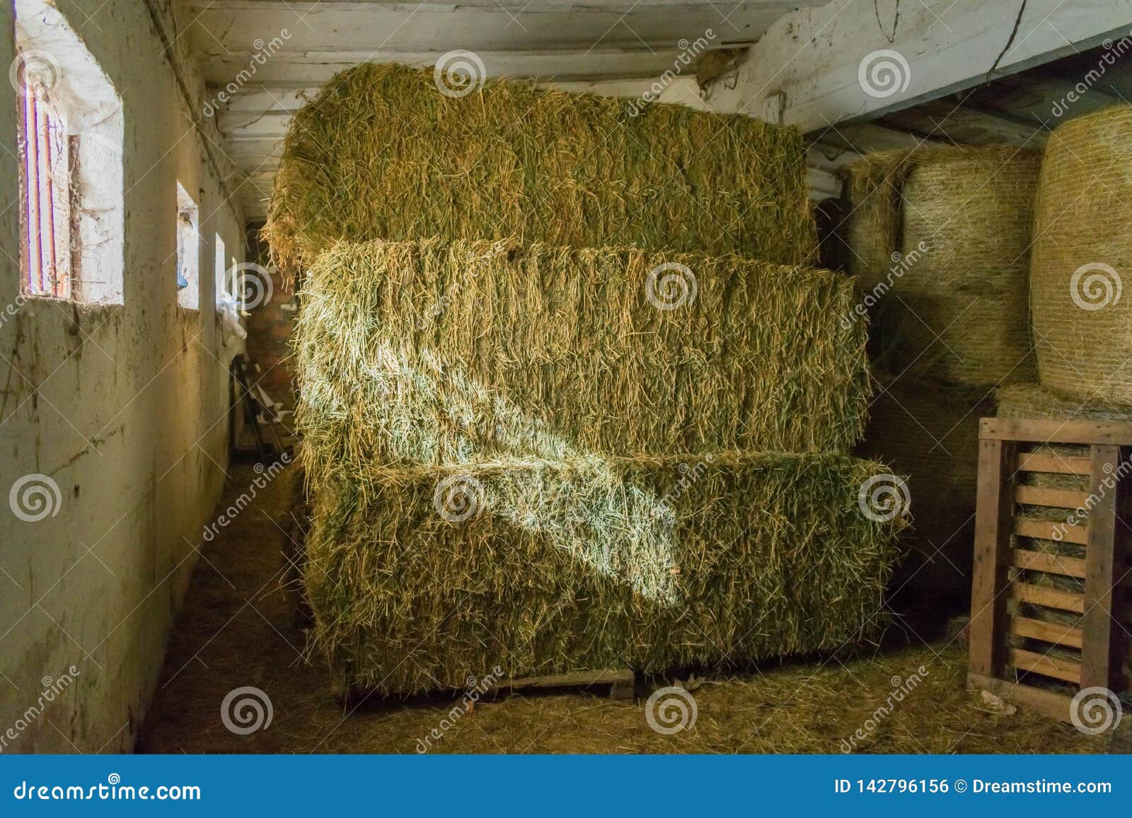 Grass Bundles Stacked in Interior Stock Photo - Image of bundles ...