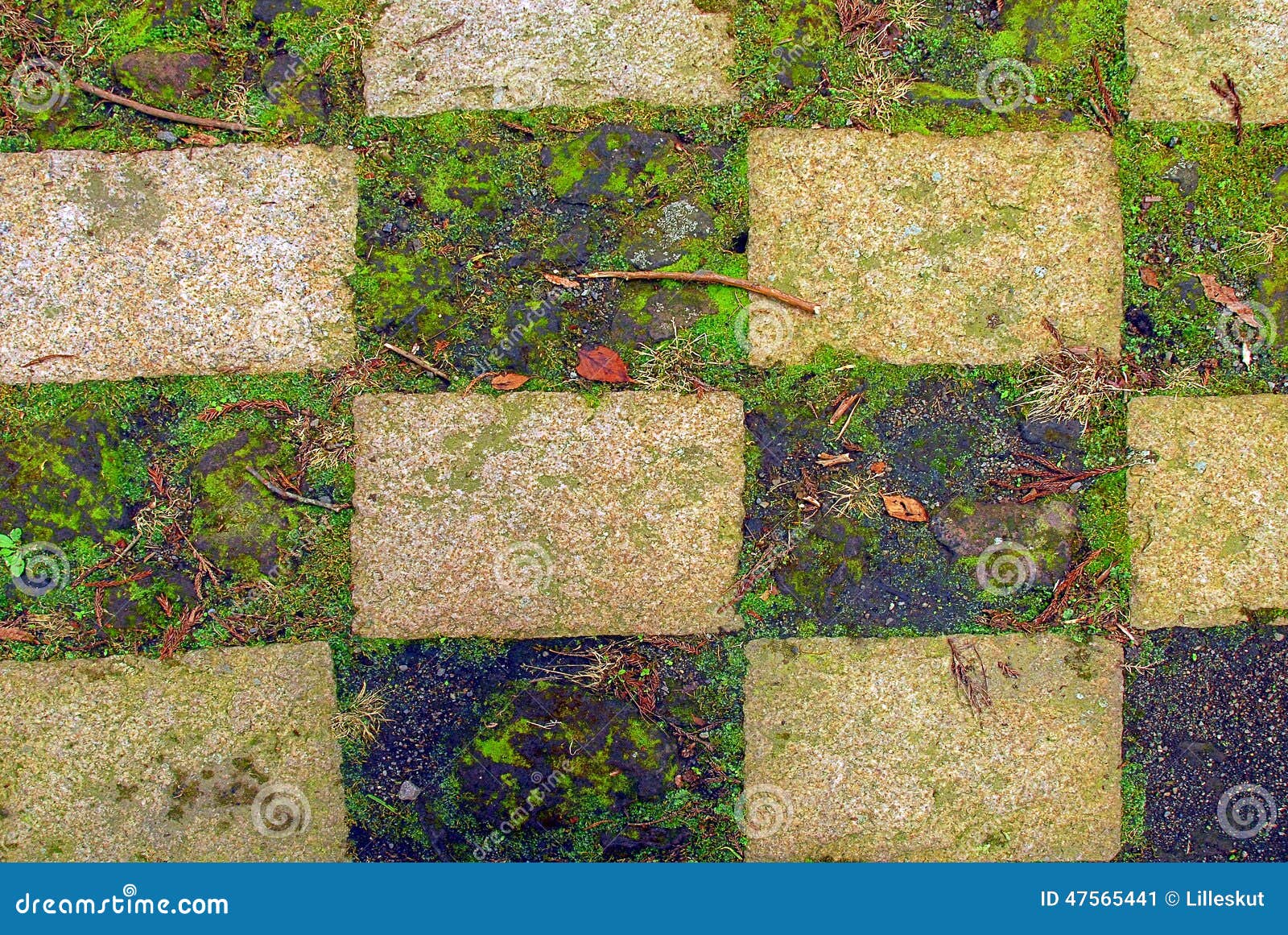 Grass checkerboard stock image. Image of green, chess - 47565441