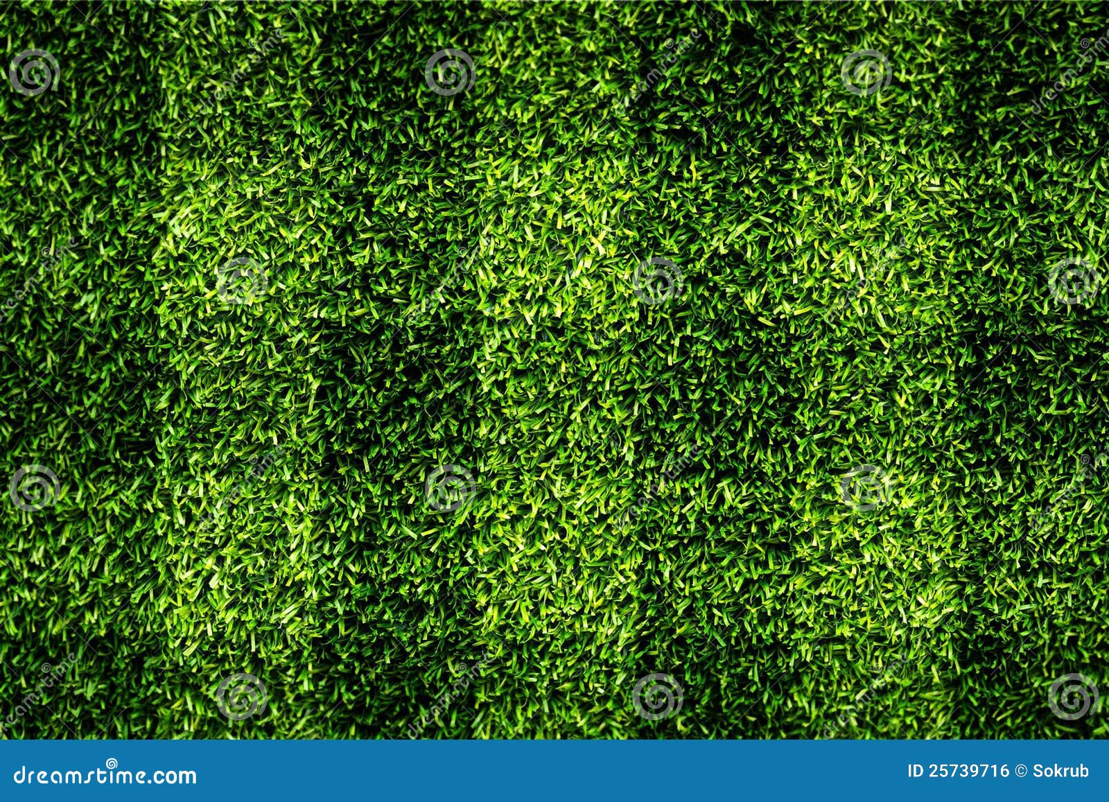 Grass Checkered stock photo. Image of backdrop, blade - 25739716