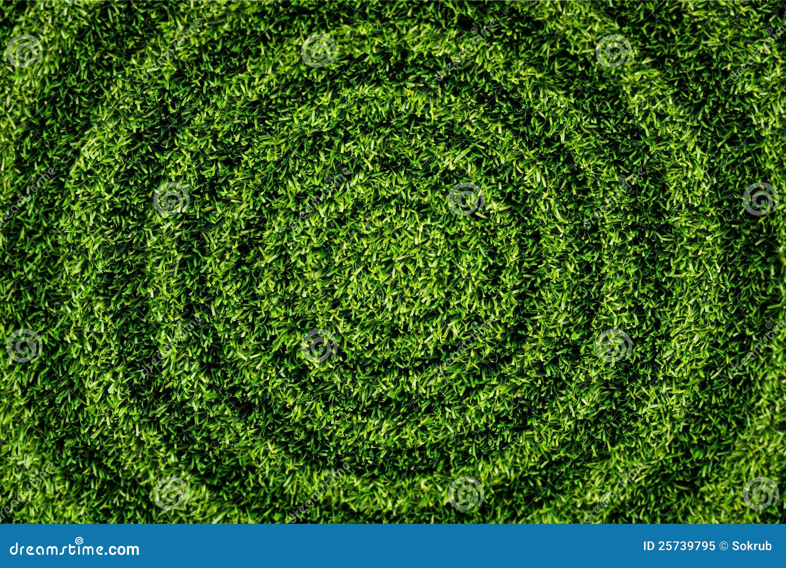 Grass Circular pattern. stock image. Image of ecology - 25739795