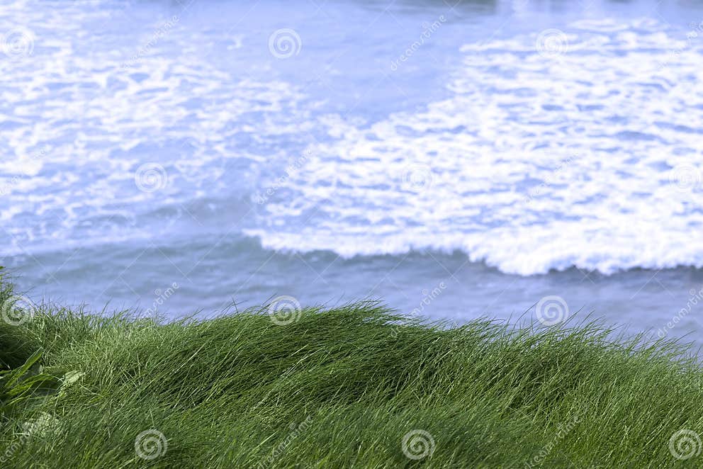 Grass on the cliff edge stock photo. Image of natural - 24025410
