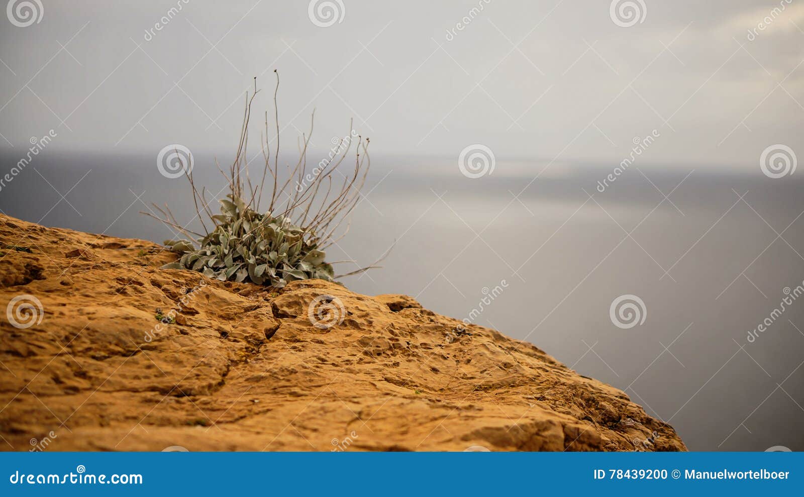 Grass on a cliff stock photo. Image of cliff, grass, view - 78439200
