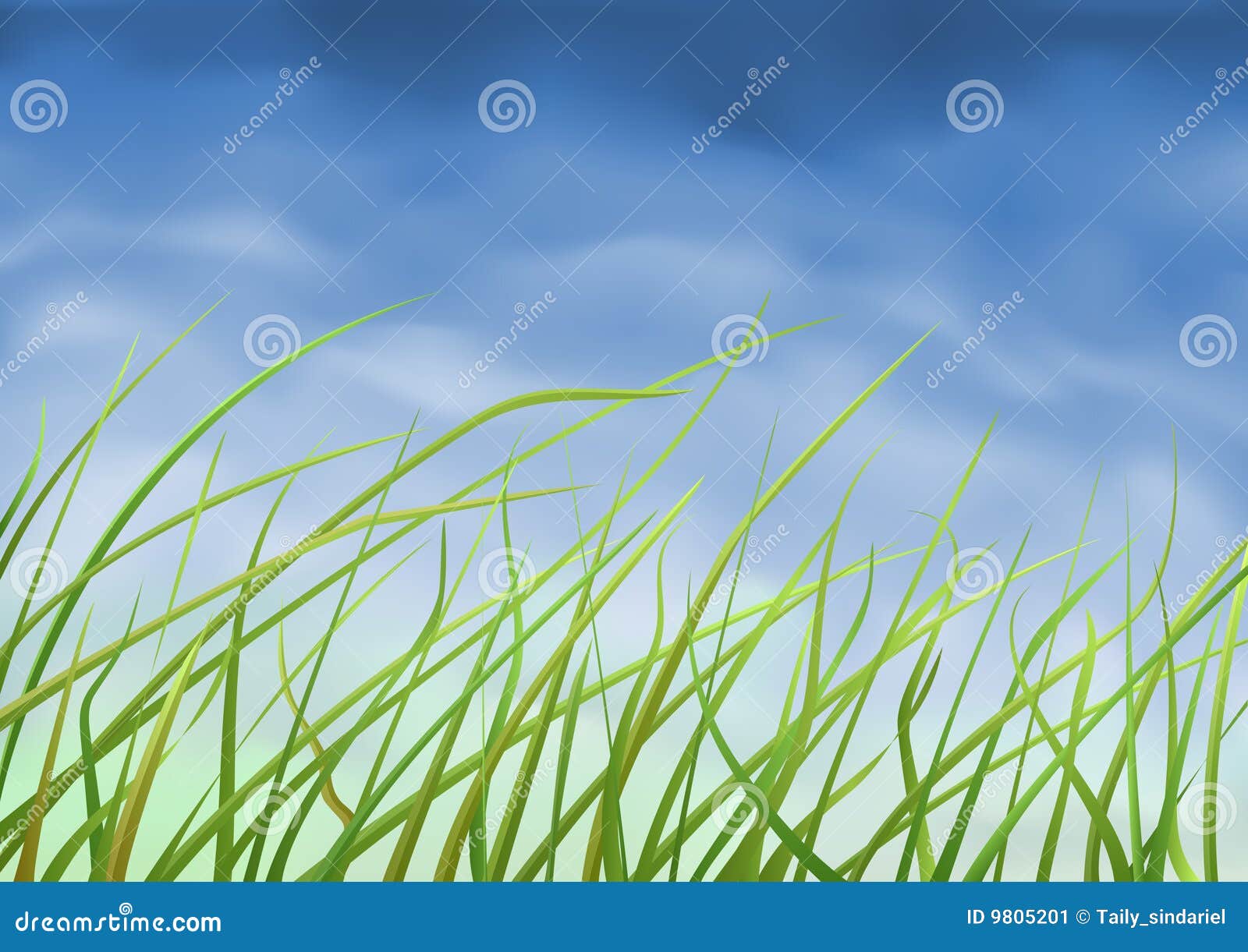 Grass close-up stock vector. Illustration of floral, june - 9805201
