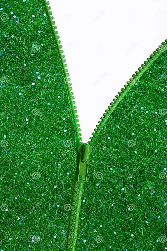 Grass clothing and zip stock image. Image of concept - 10038693