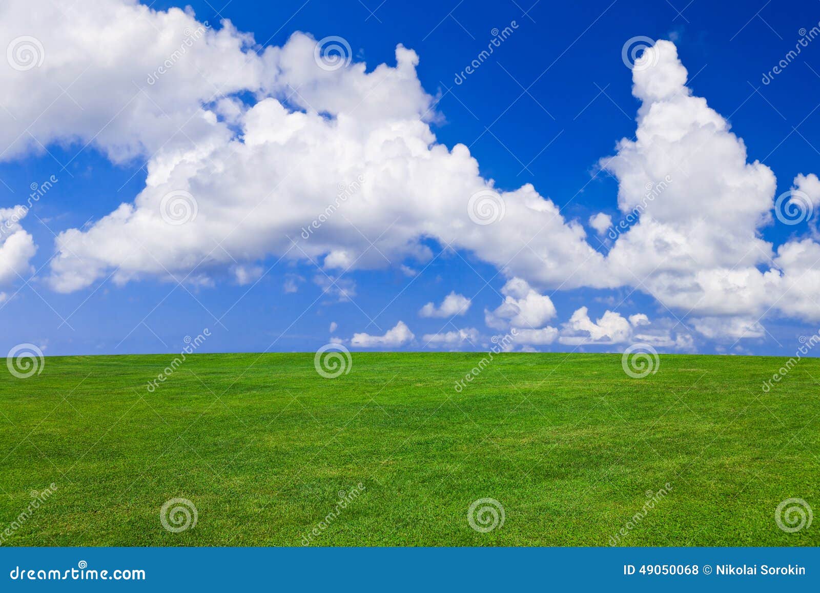 Grass and cloudy sky stock photo. Image of freedom, cloud - 49050068