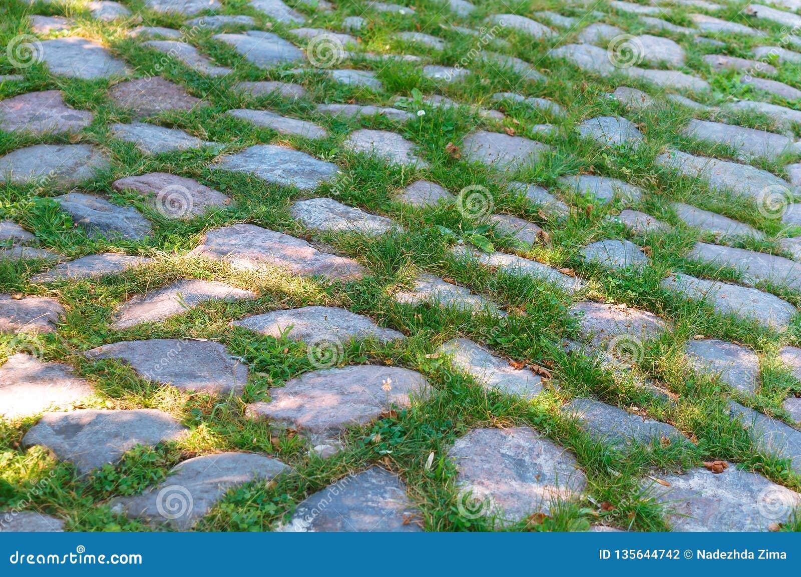 Grass between Cobblestones on the Road Stock Photo - Image of path ...