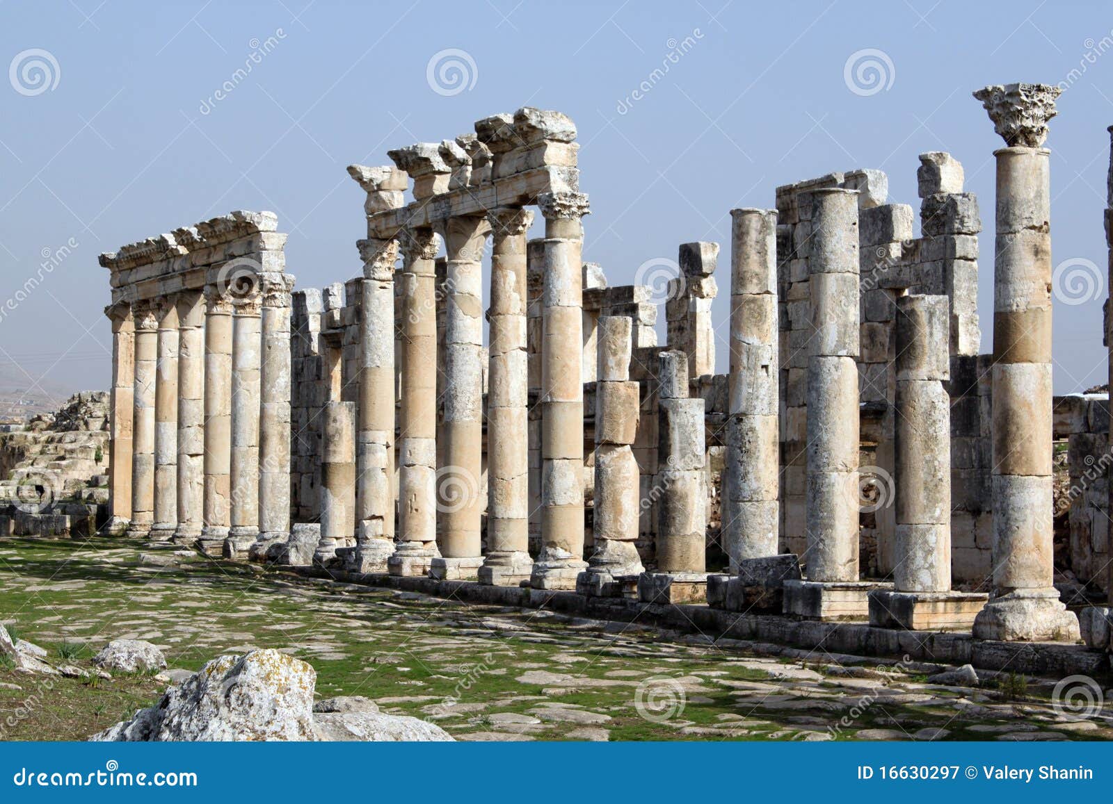 Grass and columns stock image. Image of roman, colonnade - 16630297