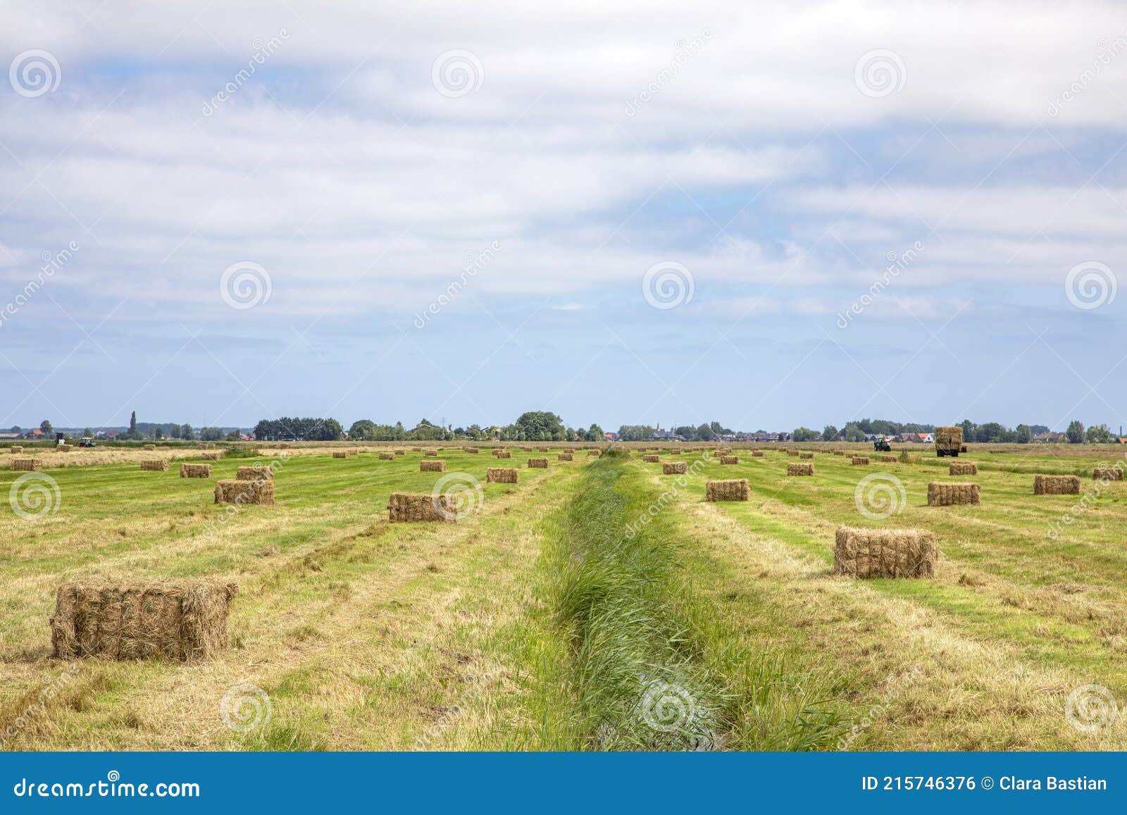 Grass Compacted In Silage Bales In Plastic , Next To A Path In Nature ...