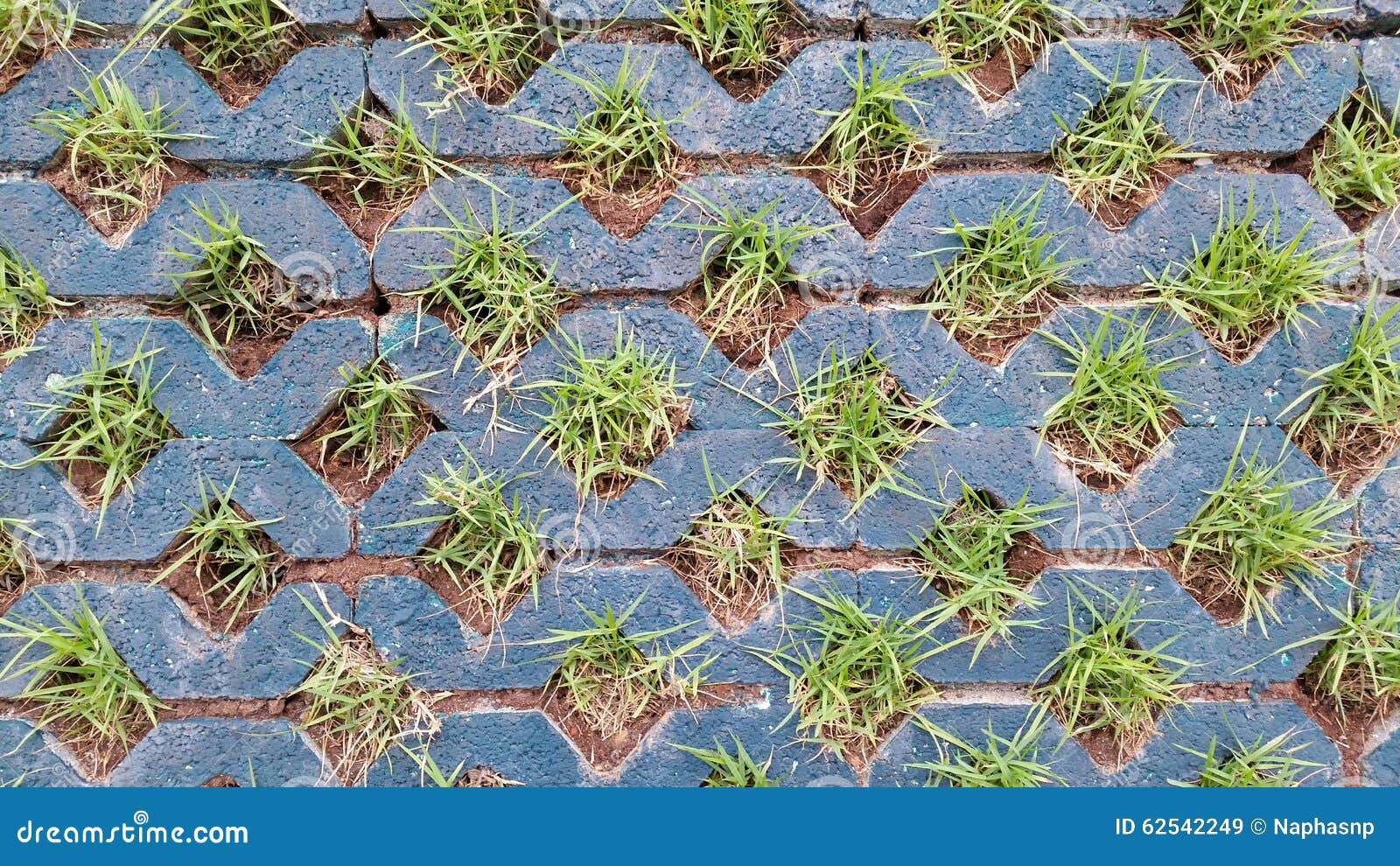 Grass and Concrete Fence Wallpapers Background Stock Image - Image of ...