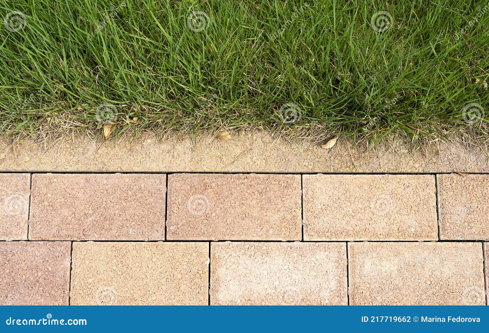 Grass and Concrete Pavement Tile Stock Photo - Image of background ...