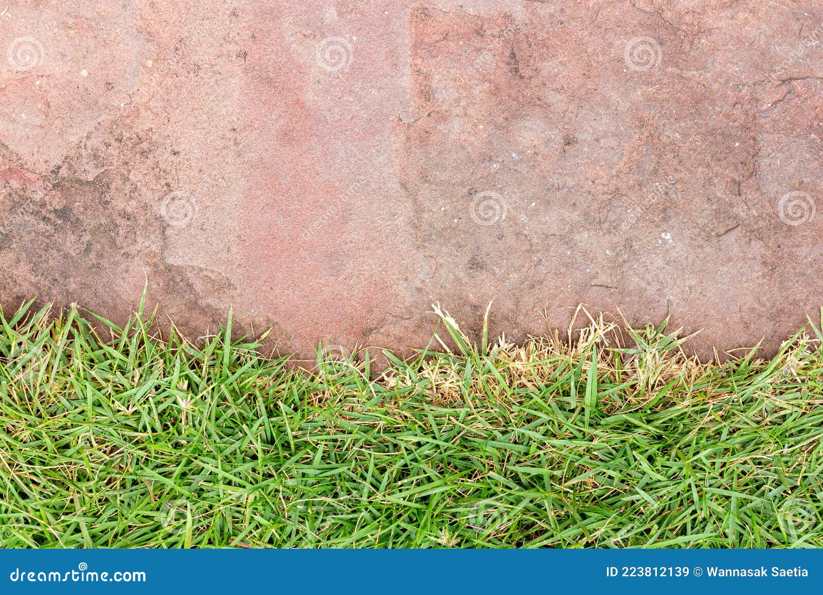 Grass and Concrete Texture Background Stock Image - Image of outdoor ...