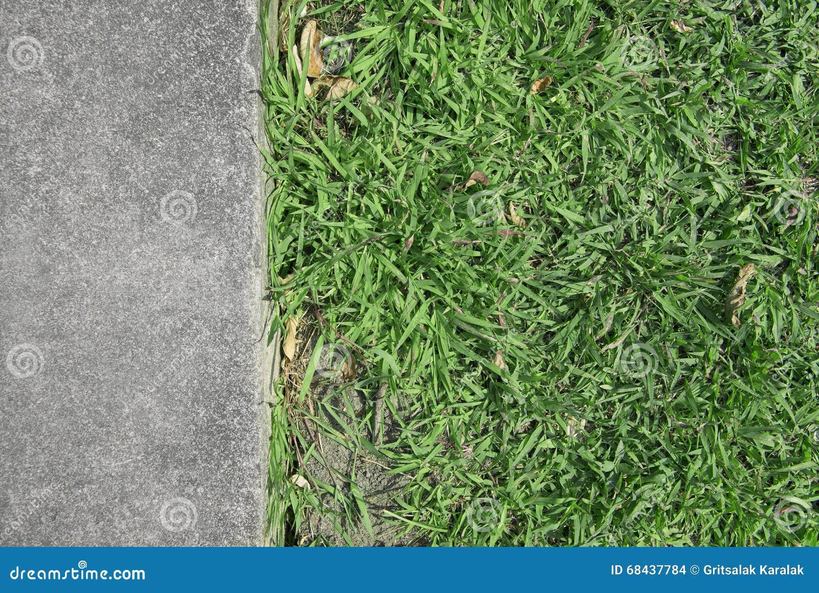 Grass and concrete texture stock photo. Image of abstract - 68437784