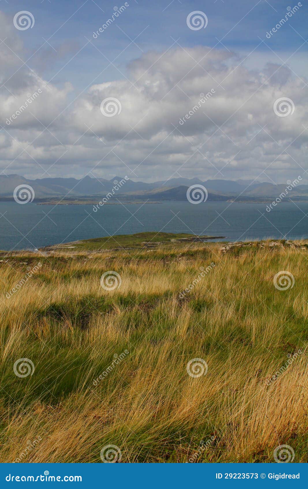 Grass Covered Cliffs Overlooking Peninsula and Sea Stock Image - Image ...
