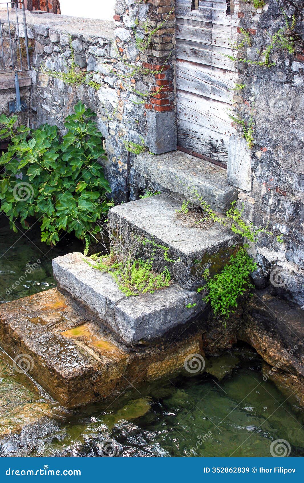 Grass-covered Concrete Steps Leading into the Water Stock Image - Image ...