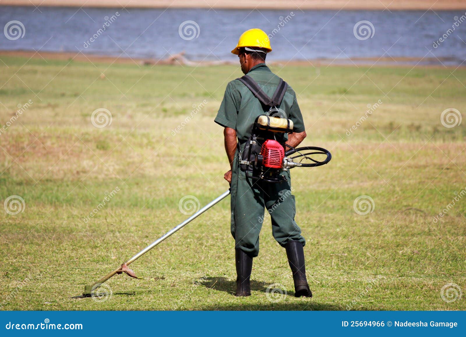Grass cutter stock photo. Image of african, grass, gardening - 25694966