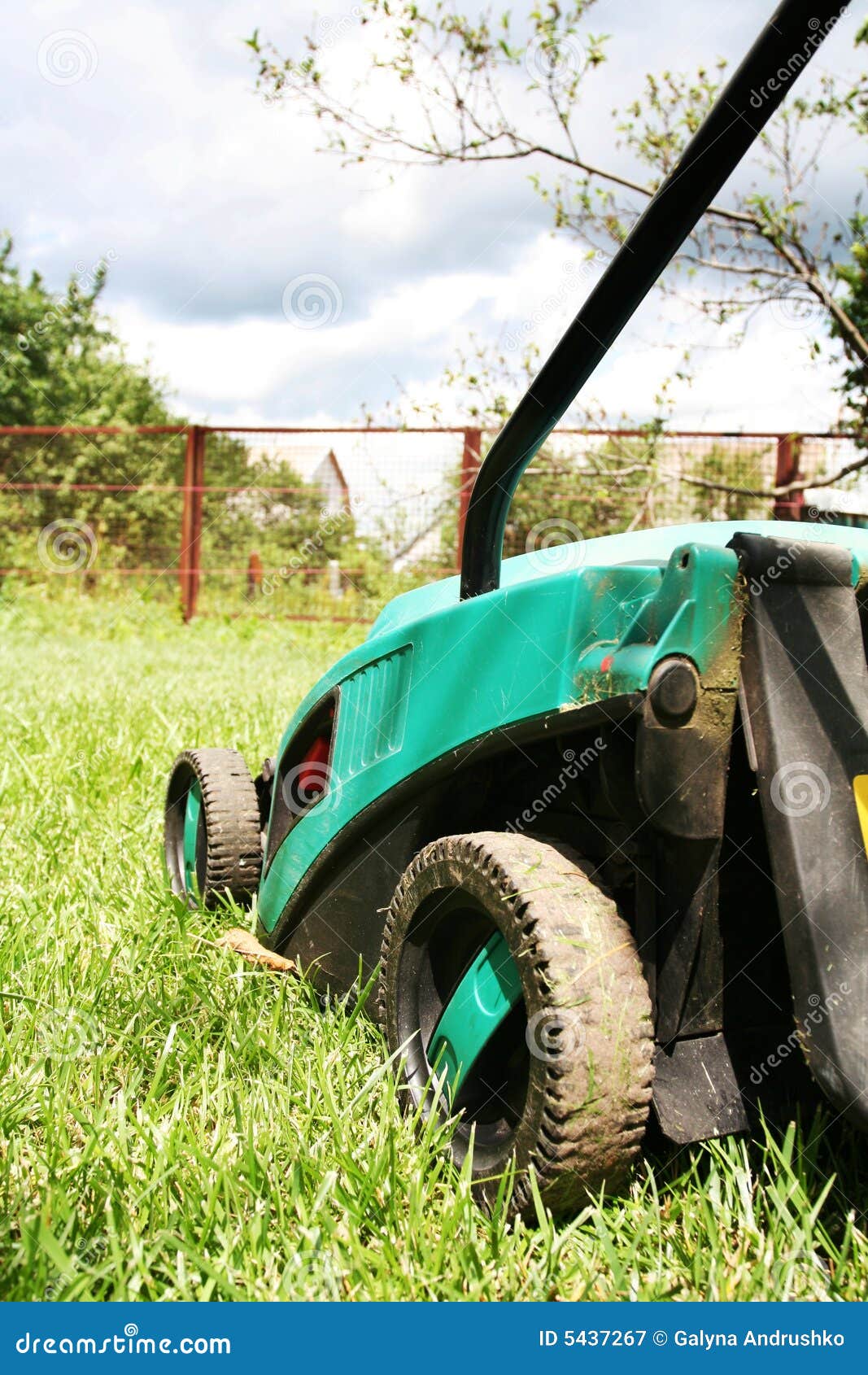 Grass-cutter stock image. Image of gardener, flower, green - 5437267