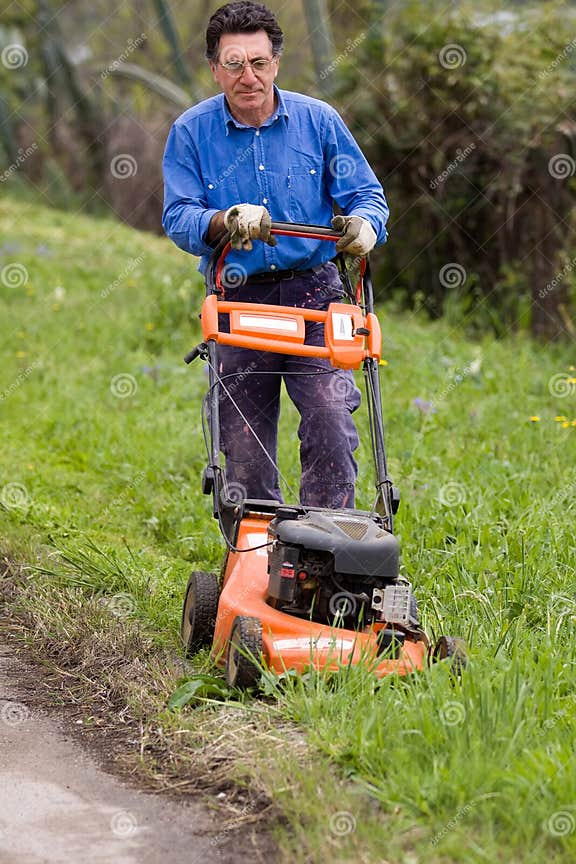 Grass cutting stock image. Image of lawn, environment - 15392287