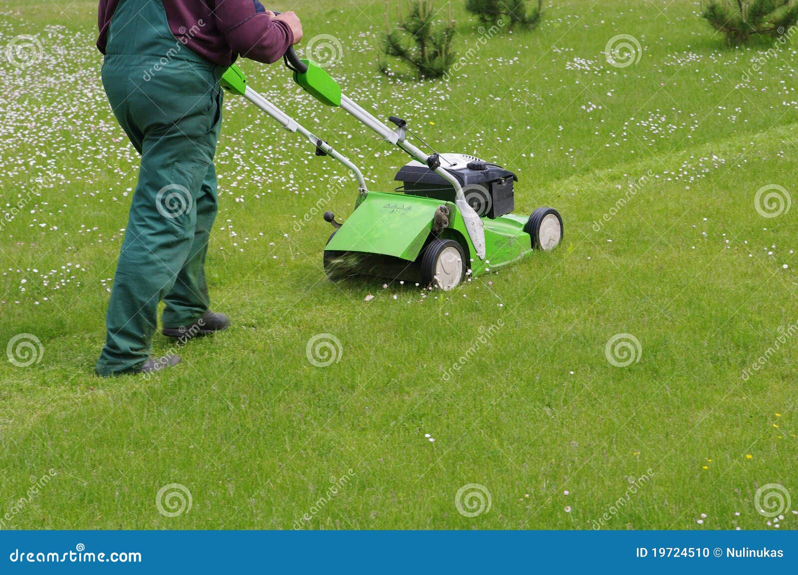 Grass cutting stock photo. Image of farm, long, pool - 19724510