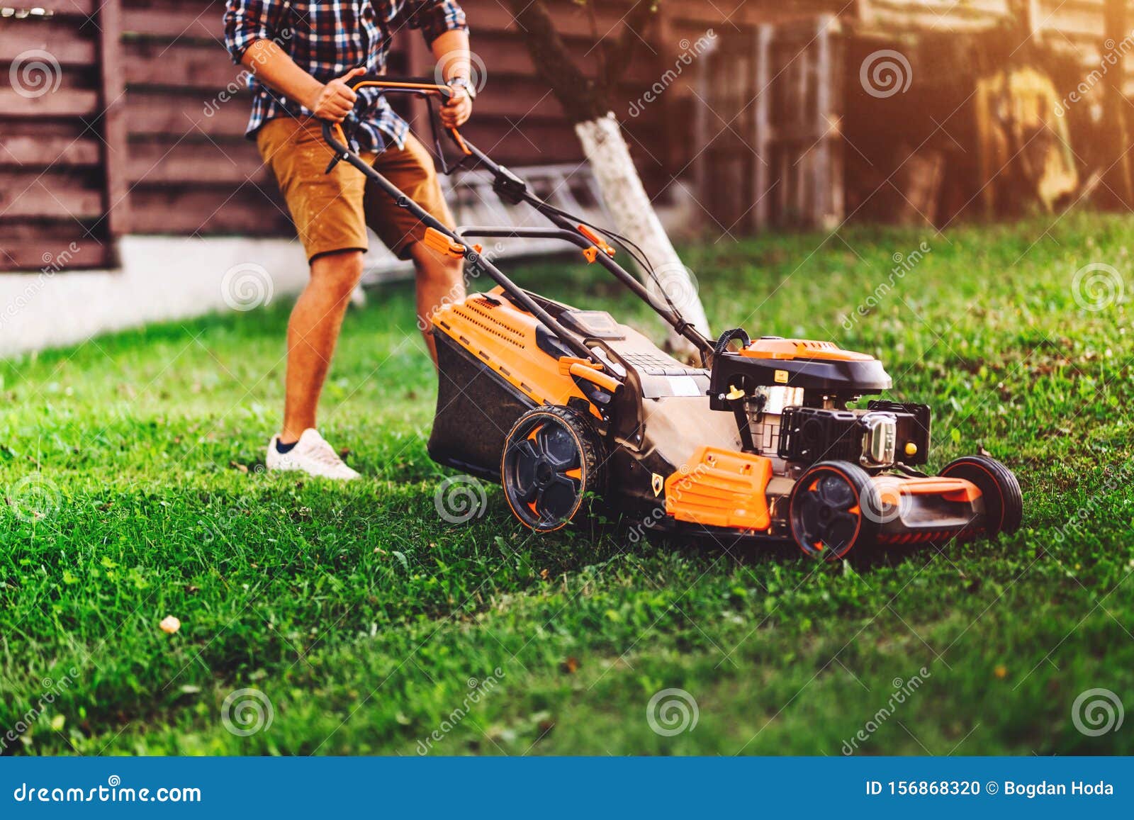 Grass Cutting Details. Backyard Gardening and Landscaping Stock Photo ...