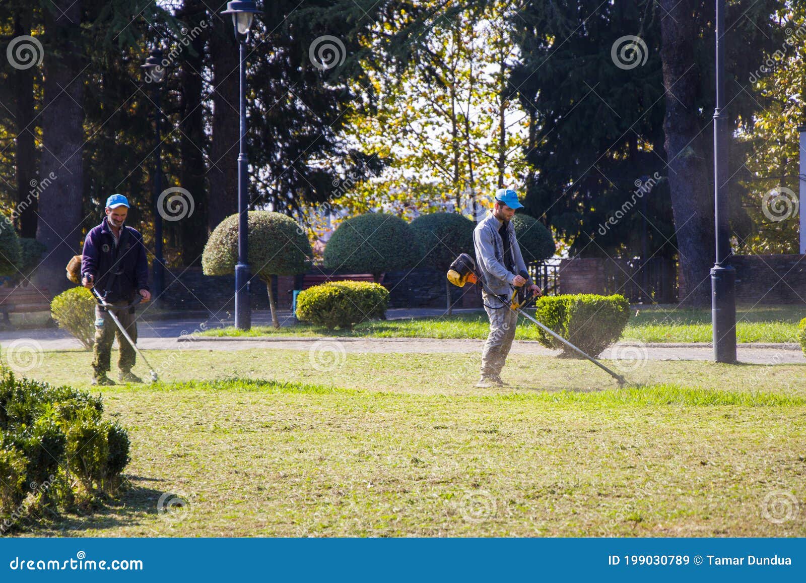 Grass Cutting Process, Worker Cutting Grass with Machine Editorial ...