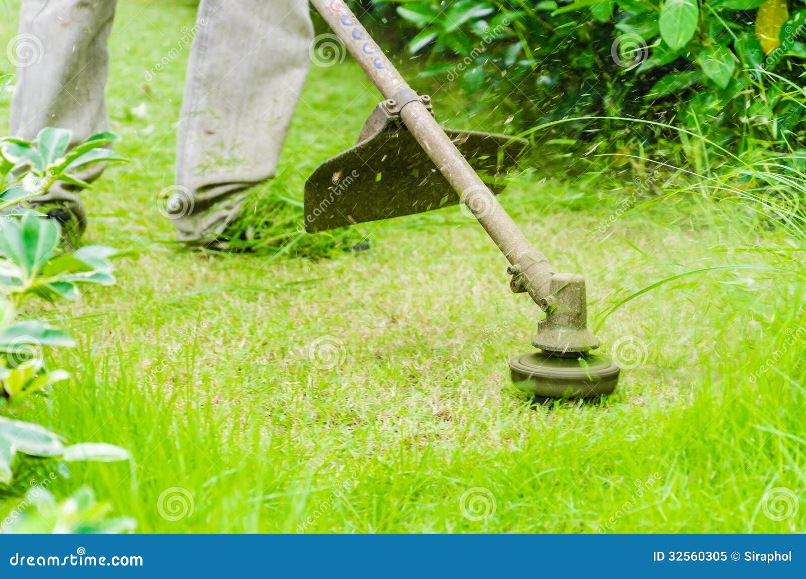 Grass cutting stock image. Image of home, green, lawn - 32560305