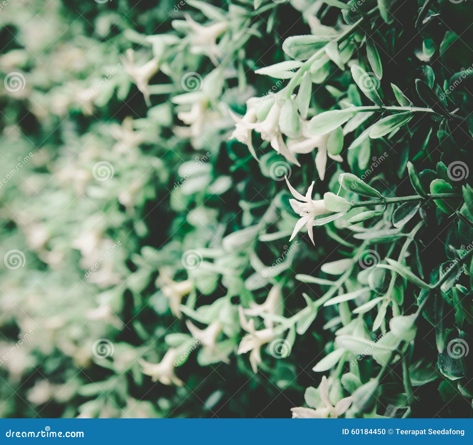 Grass decor stock photo. Image of field, garden, color - 60184450