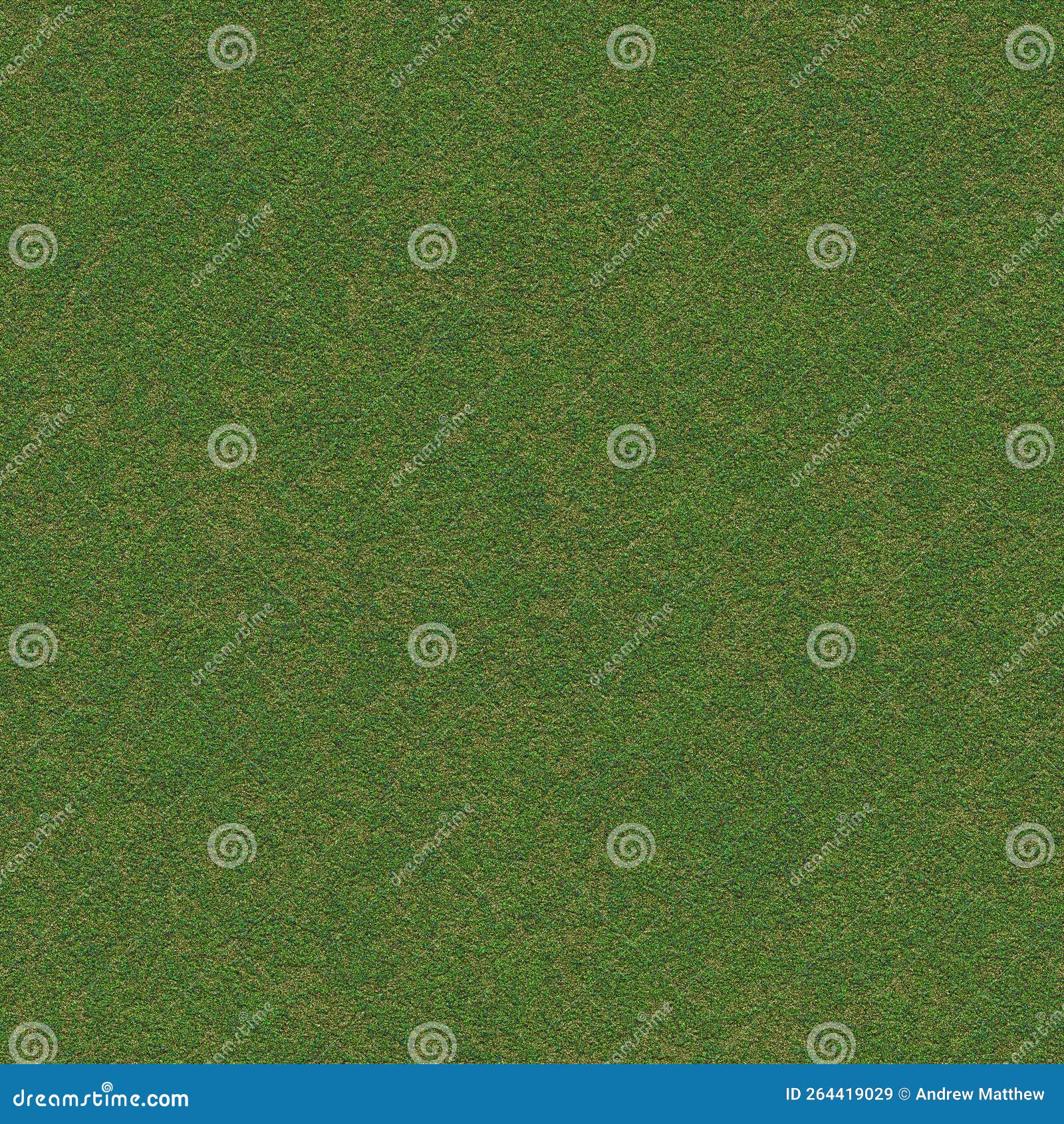 Grass dirt mix stock image. Image of grassland, dirtmix - 264419029