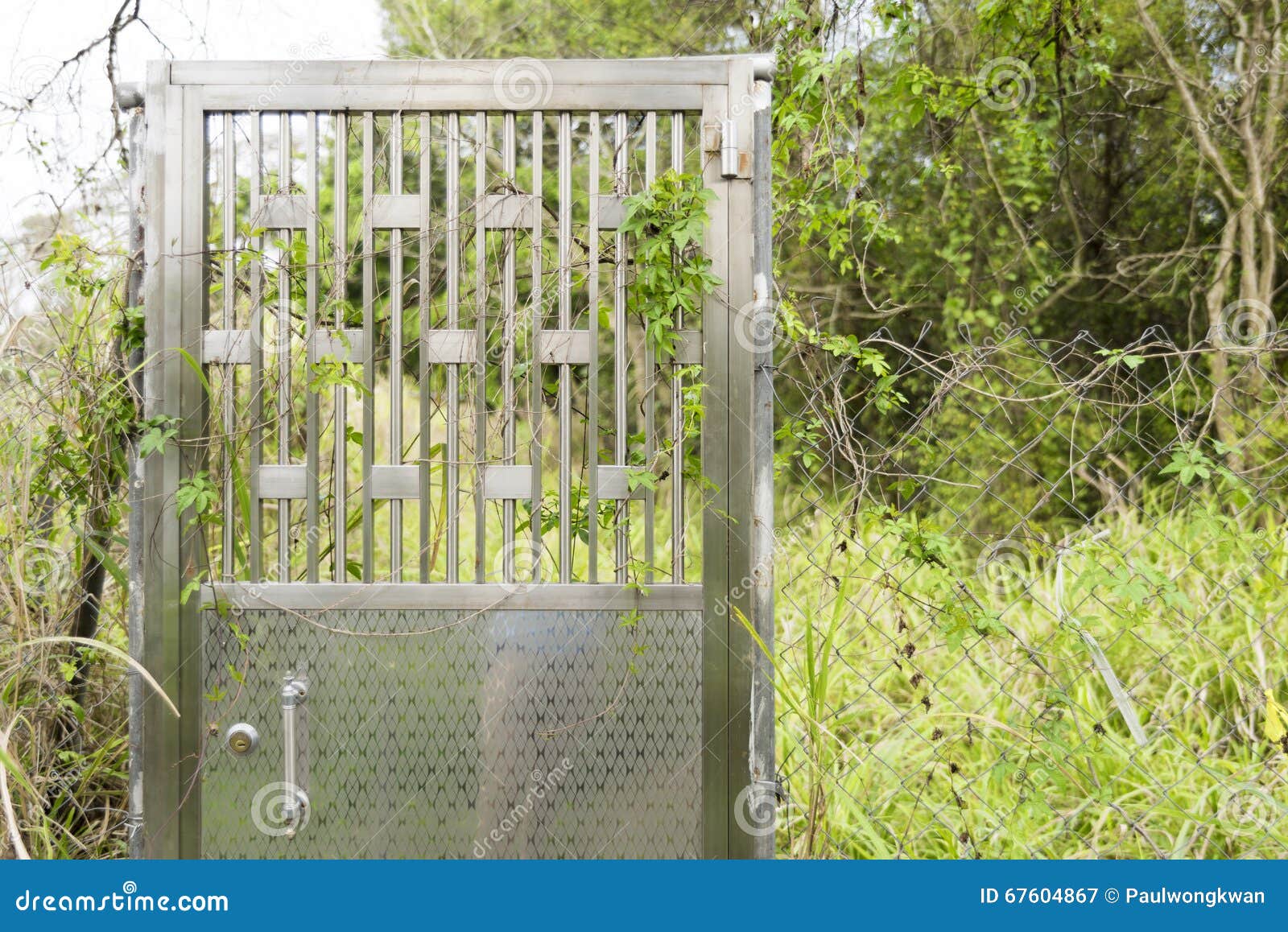 Grass and Door stock image. Image of keyhole, grass, business - 67604867