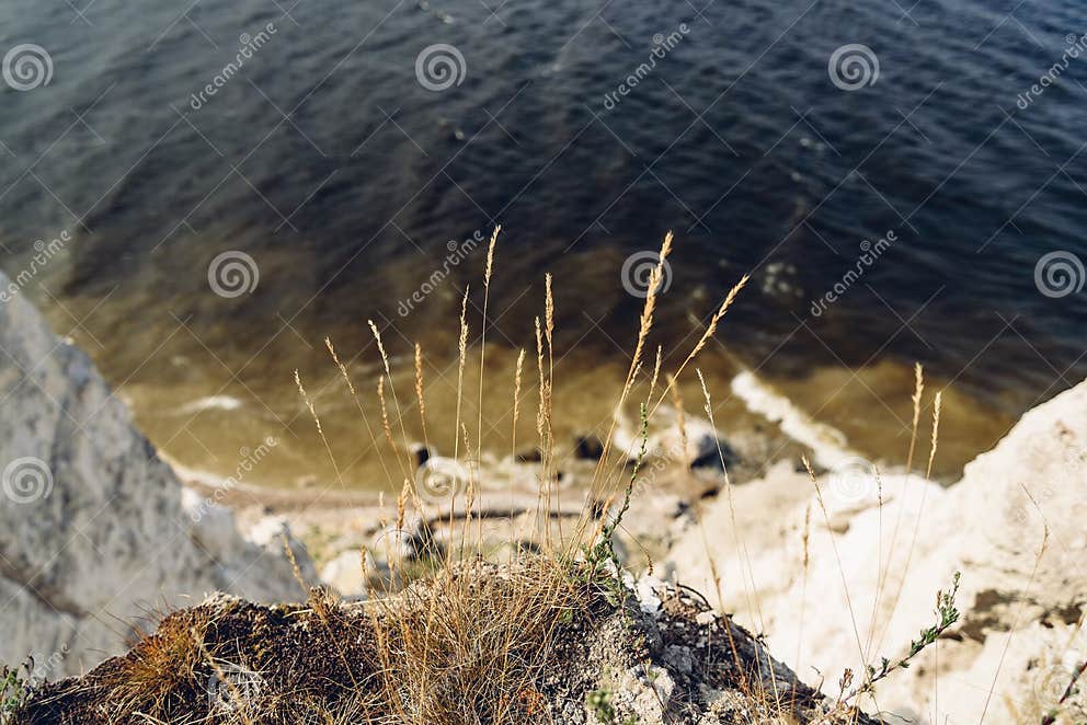 Grass on the edge of cliff stock image. Image of scenery - 144631377