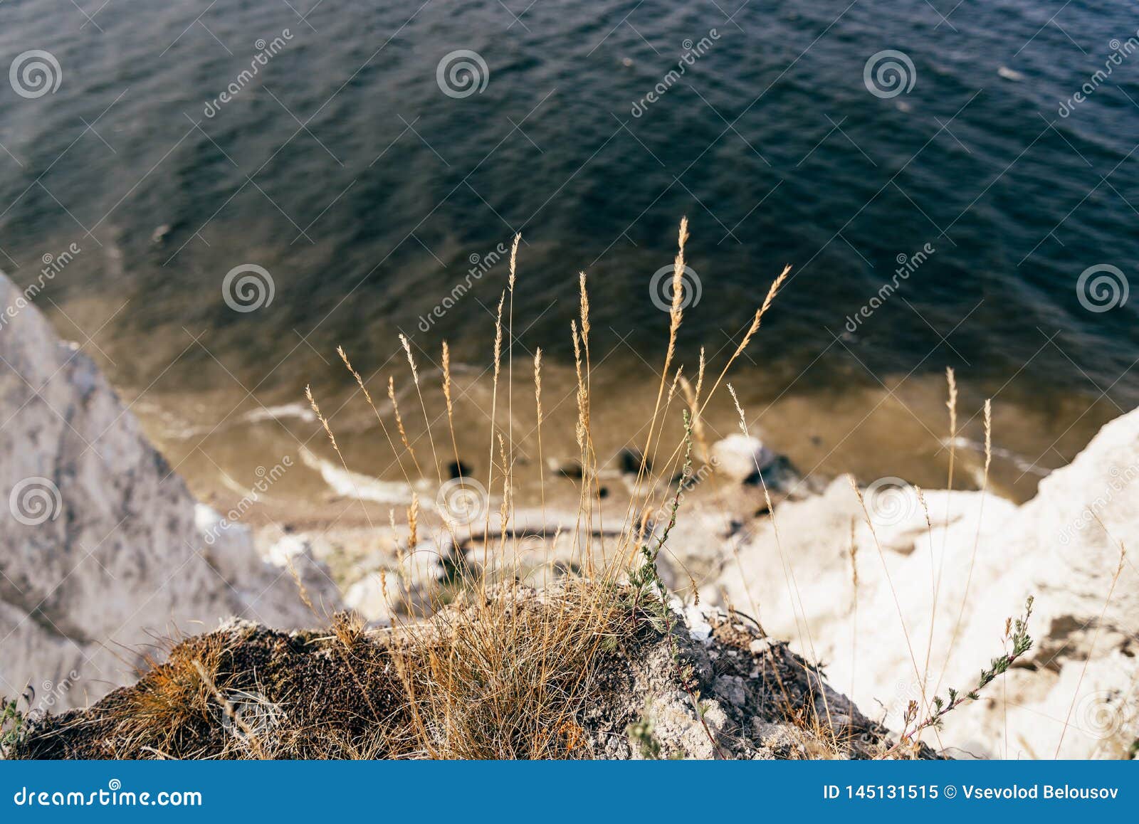 Grass on the edge of cliff stock image. Image of hill - 145131515